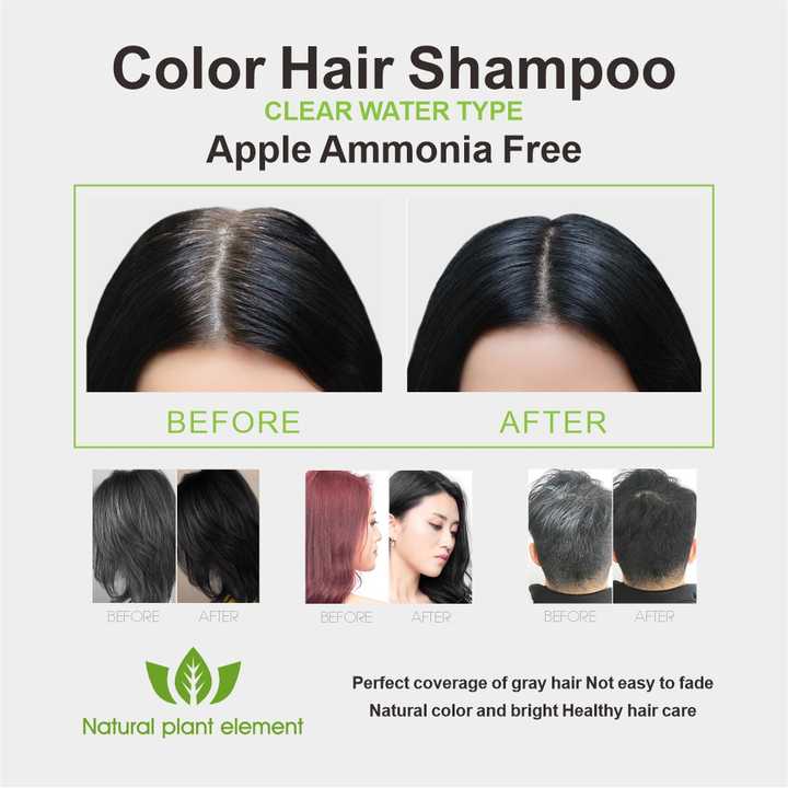 Maiqeix Apple Hair Dye Black Color Professional Permanent Shampoo for ...