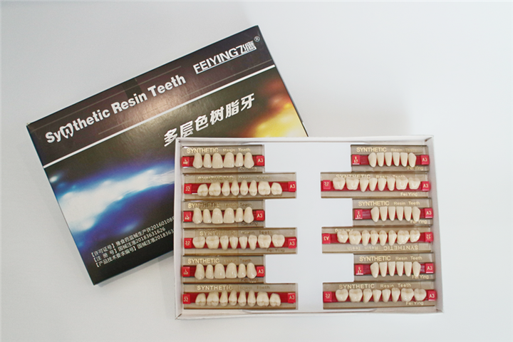 Dental Cross Linked Acrylic Teeth for Dentures - Quality & Comfort