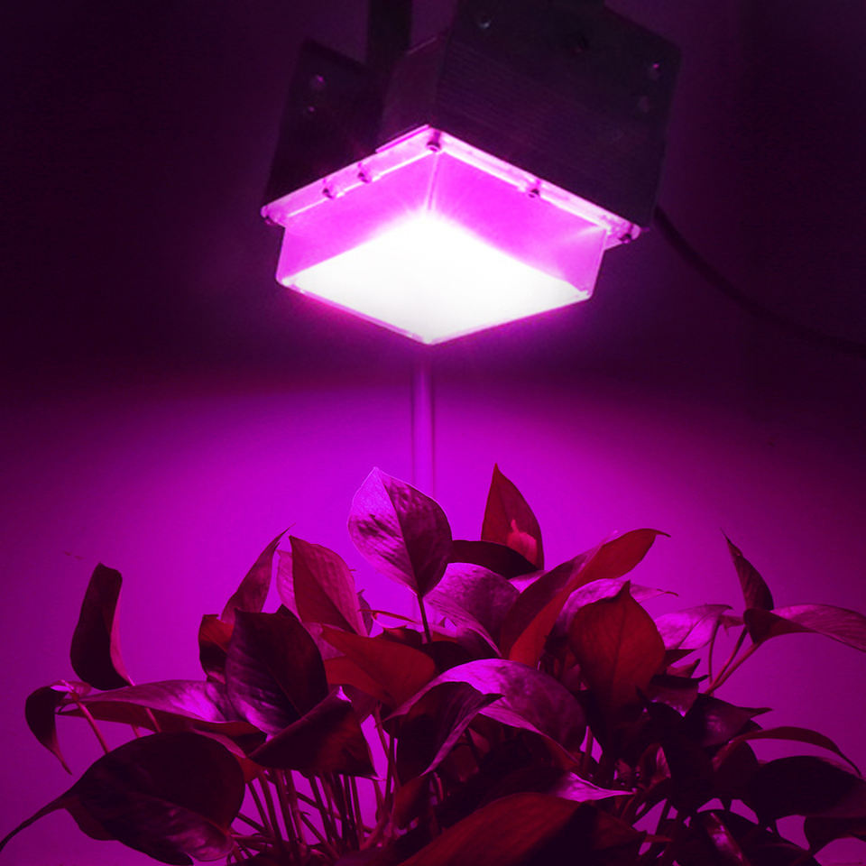 Growbox Used Waterproof Grow Light IP65 300W Full Spectrum LED Plant ...