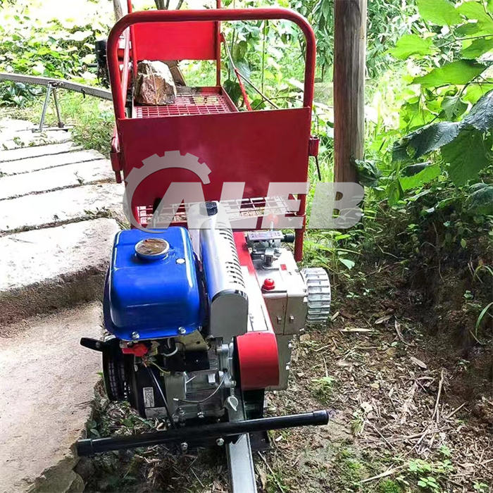 Farm Easy Climbing Monorail Conveyor Truck - High Productivity
