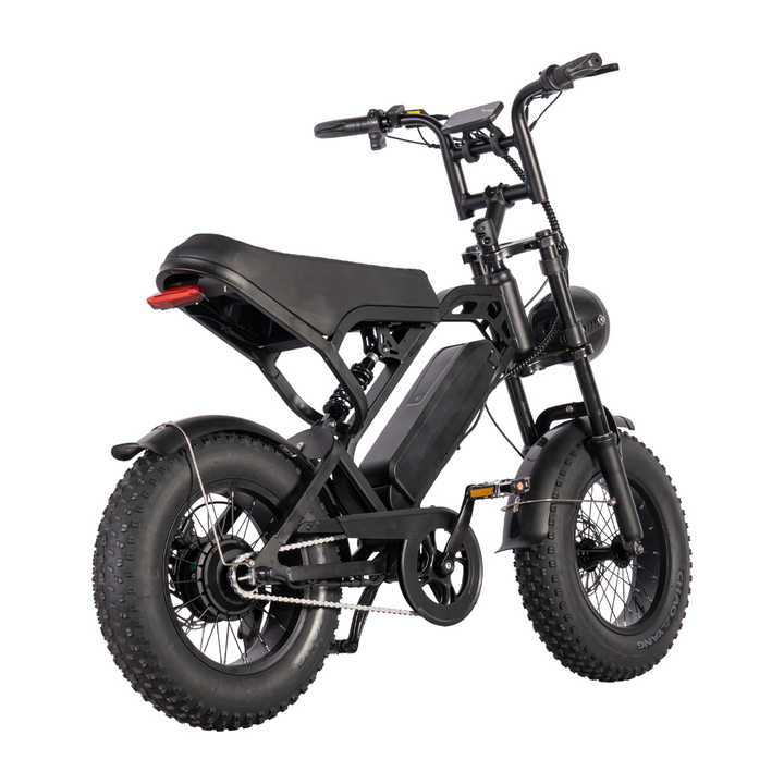 V20 Mini 250W 48V Fat Tire Electric Bike - off-Road Fun