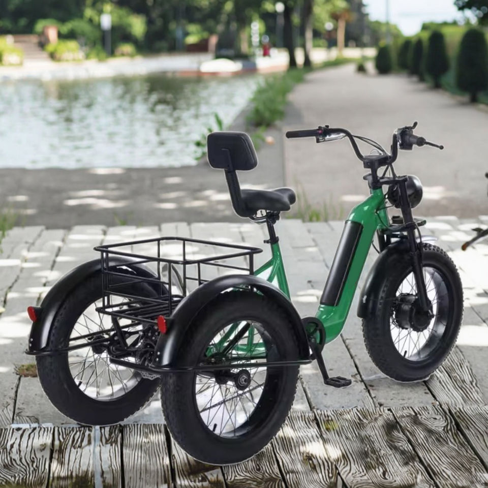 2025 China Supplier Adult Pedicab Motorized Electric Trike