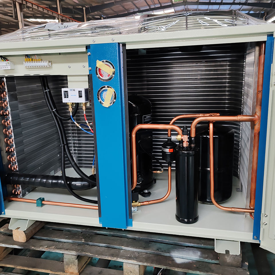 Low Temp Condenser Unit 3Hp Scroll Type Refrigeration Unit for Cold ...