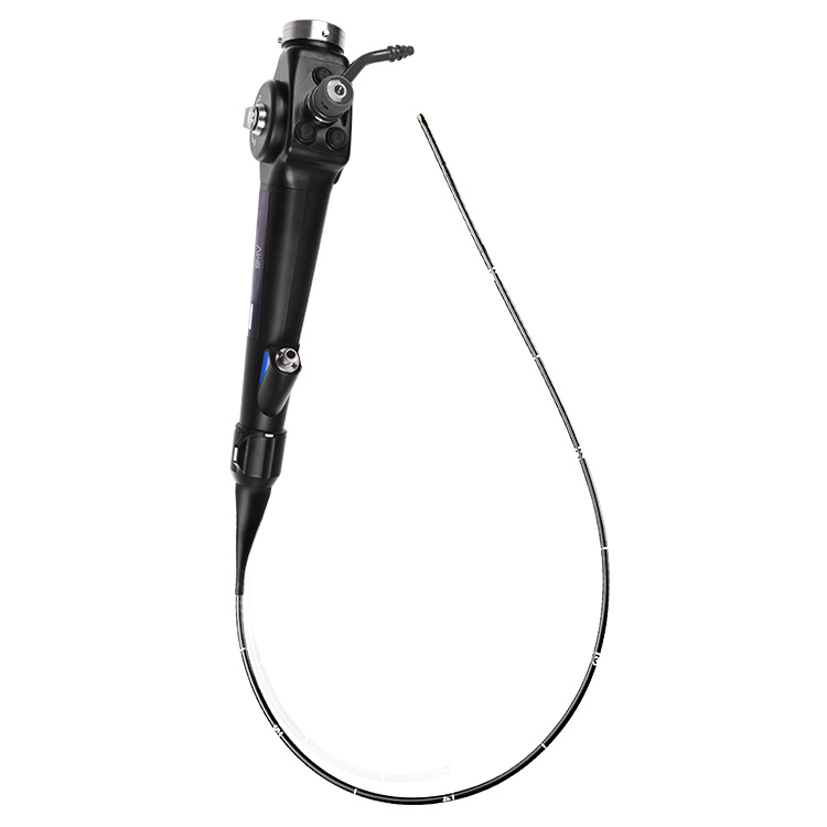 Flexible Veterinary Gastroscope Endoscope for Dogs, Cats, Horses ...