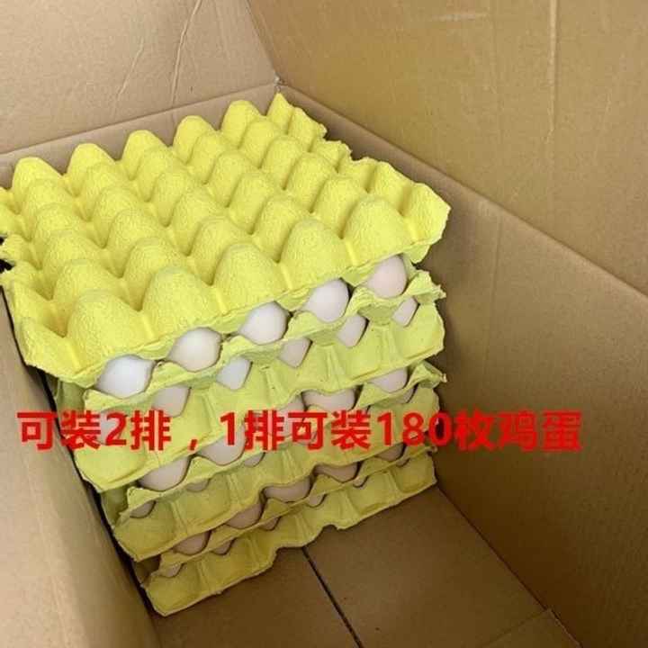 15 Dozen Eggs Transport Box - Durable & Recyclable Storage