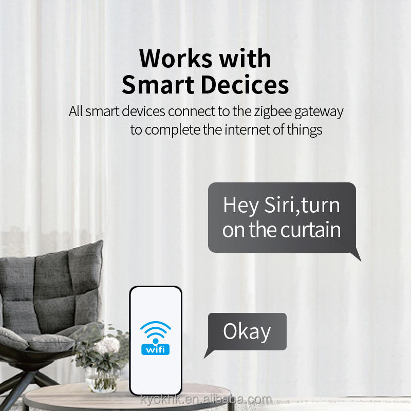 KYOK Champagne Tuya WiFi Motorized Curtain System - Smart Electric ...