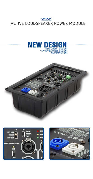 Loudspeaker Audio Power Amplifier Module Class D Module