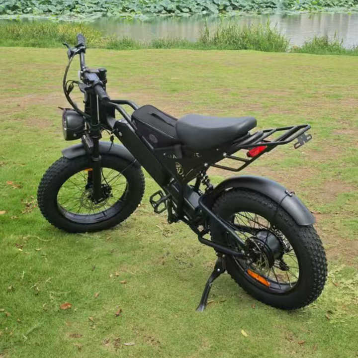 Electric Bike Promotion - 7 Speed Ebike from China