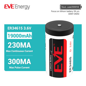 Big Size Battery Large Capacity Lithium Ion Pack | Shenzhen Haishan