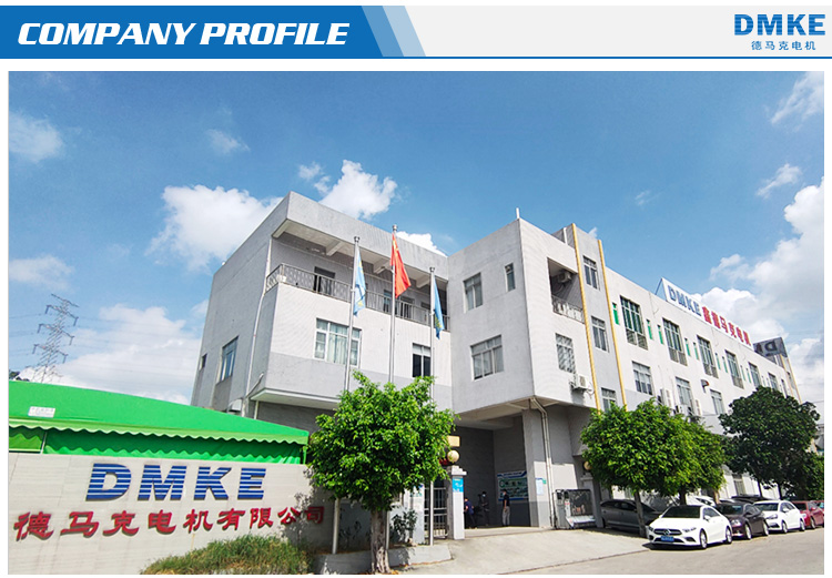 Dmke Động Cơ Bánh Răng Cửa Trượt Mở Cửa Trượt D49 D59 D63 76mm 63mm 45 ...