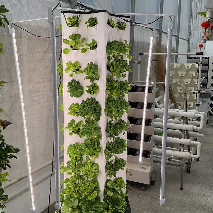 Skyplant Vertical Hydroponic System - Efficient Growth