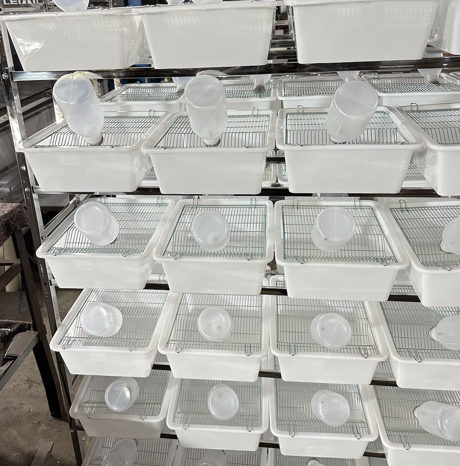 Modern Stainless Steel Plastic Animal Husbandry Lab Rack 160 Drawers ...