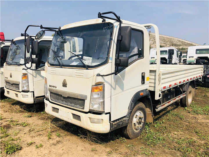 Sinotruk Howo 5 Ton 4x4 Light Lorry Cargo Truck for Sale