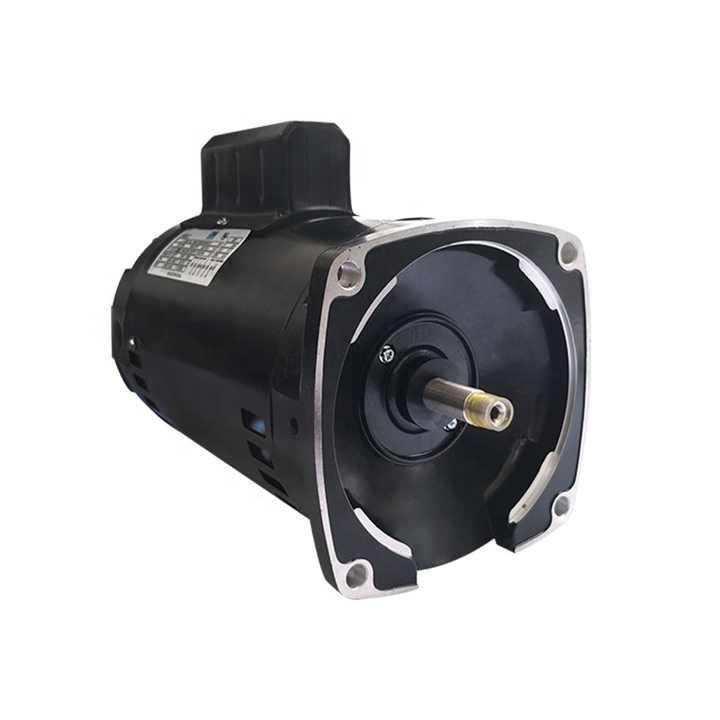 GW Square Flange Electric Water Pool Pump Motor Price
