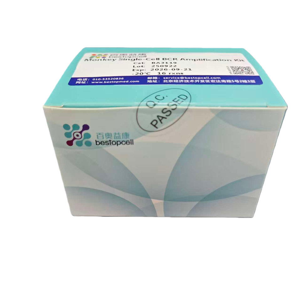 Baiaoyikang Monkey Single-Cell BCR Amplification Kit Full-Length V(D)J ...