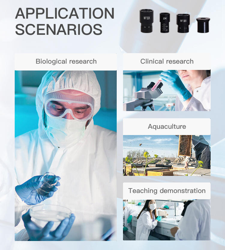 Custom Binocular Laboratory Microscope Adjustable Biological Stereo ...