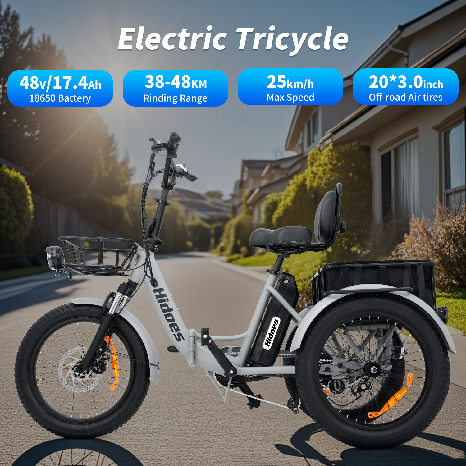 How to Choose the Best Cargo E Bike 750W Fiido T2: Expert Buying Guide