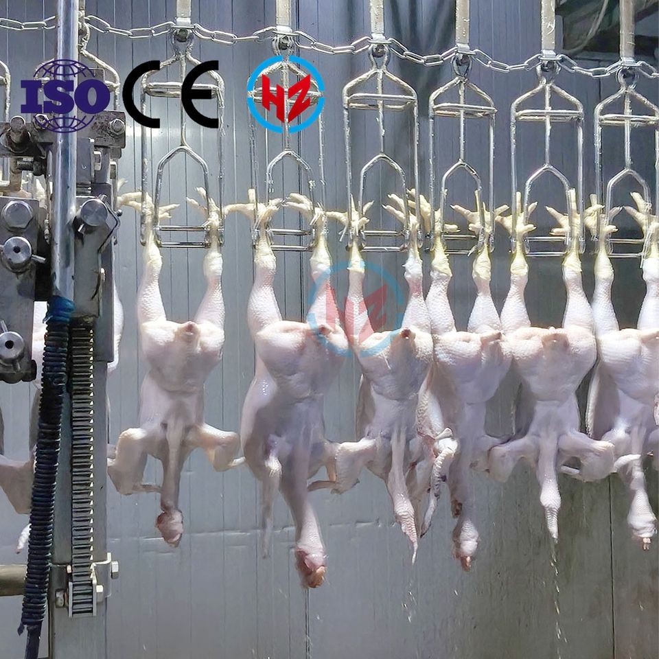 Haoze Halal Poultry Slaughter System 300-15000BPH | Motor Bearing ...