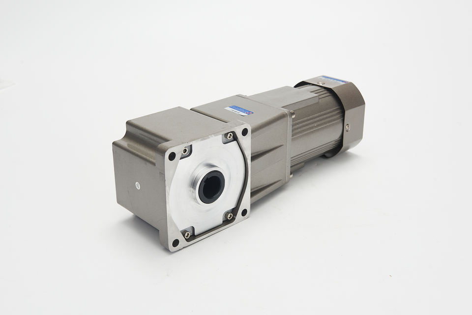 Taili 300W AC Right Angle Shaft Induction Micro Gear Motor
