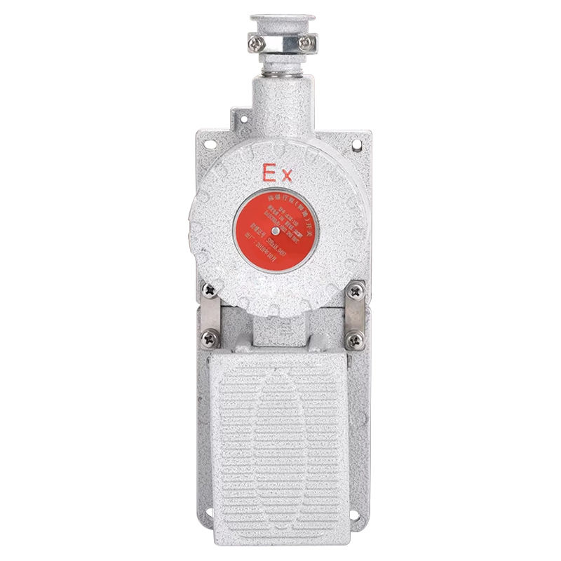 IP65 WF1 Corrosion-Resistant Explosion-Proof Foot Switch with ...