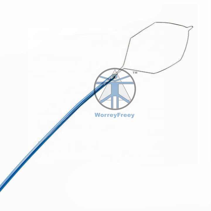 Disposable Instrument Polypectomy Snare - Endoscopic Snare