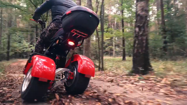 3 Wheel Electric Trike Scooter Citycoco CP-7 with 4000W Power