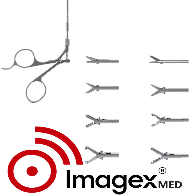 The Best Urology Forceps 3Fr 4Fr 5Fr 6Fr 7Fr for Veterinary Medical ...