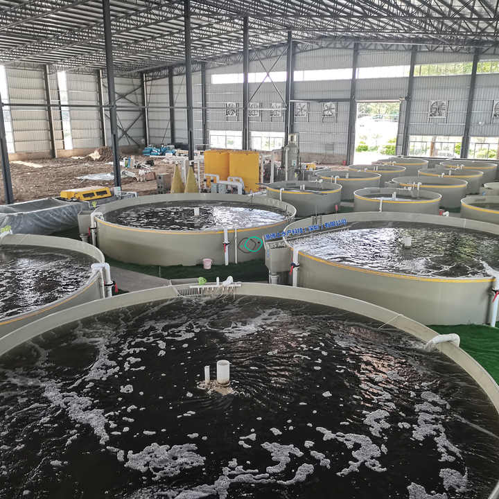 Intensive Recirculating Aquaculture Systems for Tilapia