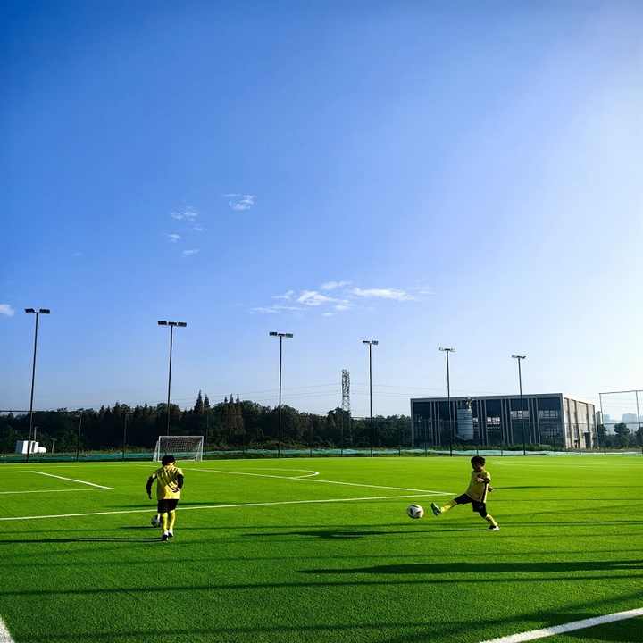 Five-a-side Mini Football Field Fake Grass No Need for Filling No ...