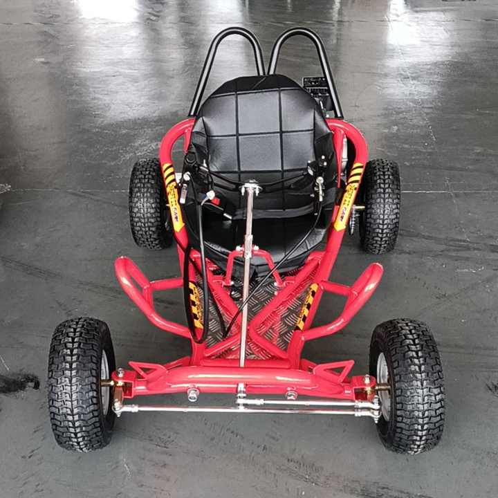 6.5HP 196cc 200cc 210cc Teen-agers Two-wheel Drive Beach Cruiser Go ...