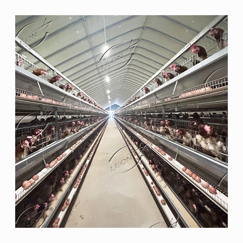 Plastic Slat Floor for Pig Farm and Chicken House Poultry