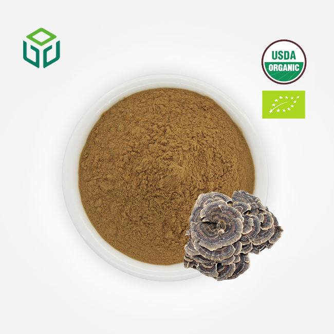 Food Grade Organic Turkey Tail Mushroom Extract Powder Herbal Extract ...