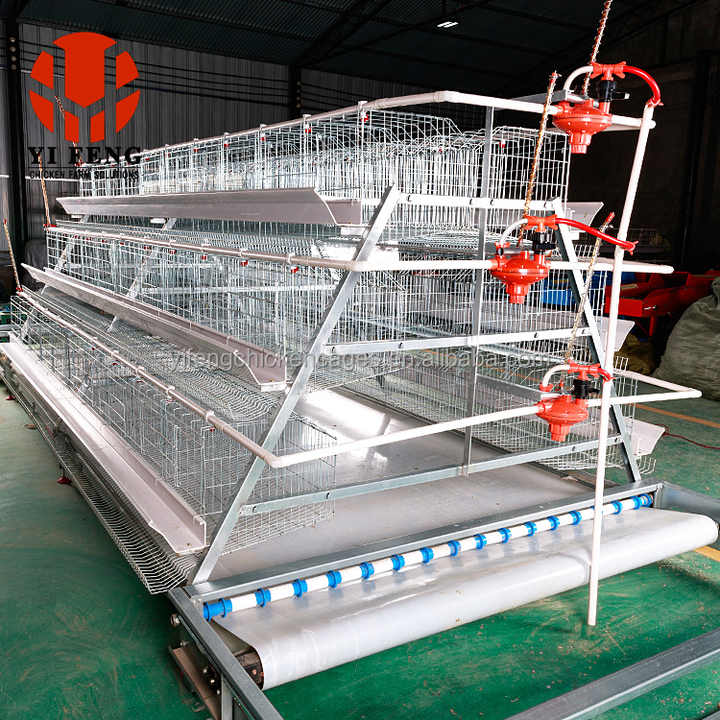 Egg Chicken Farm Cages - Durable and Efficient Solutions