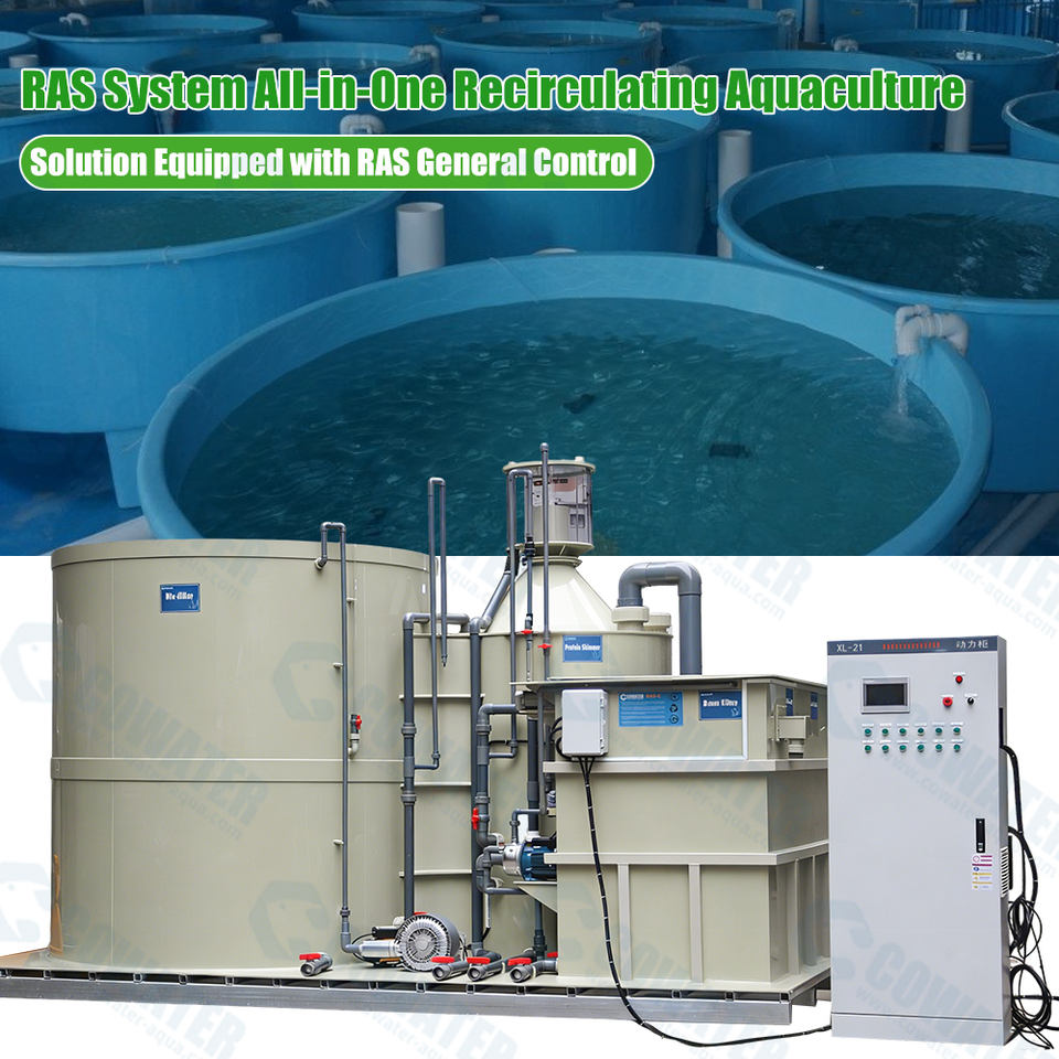 Cowater RAS System 20 M3/h - UV Biofiltration for Indoor Fish Farming