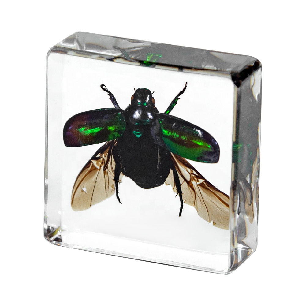 Promozione italian, Shopping online per italian promozionali - resina ...