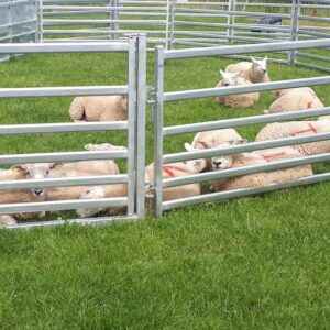 Round Pen Cattle Panels / Corral Panels / Livestock Panel for Ranch ...