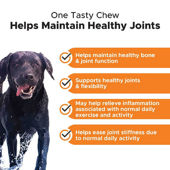 Private Label Pet Dog Functional Supplement Hip&joint Soft Chew Relief ...