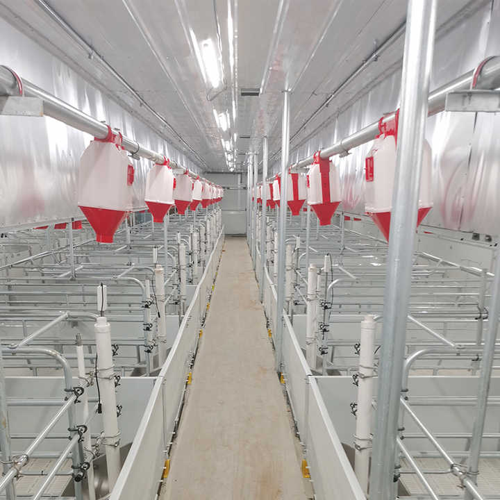 Farrowing Crates - Durable Pig Breeding Cages for Farms