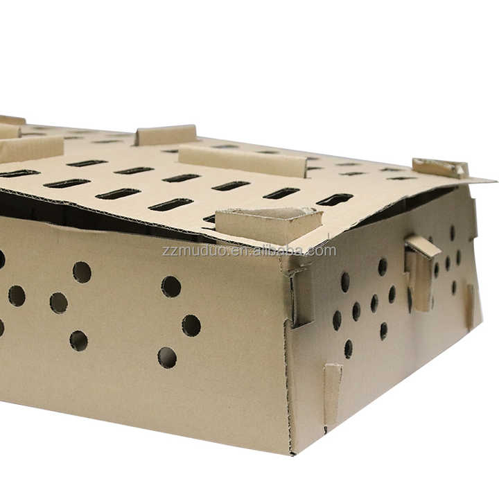 Day Old Chicks Transport Box - Sustainable & Efficient