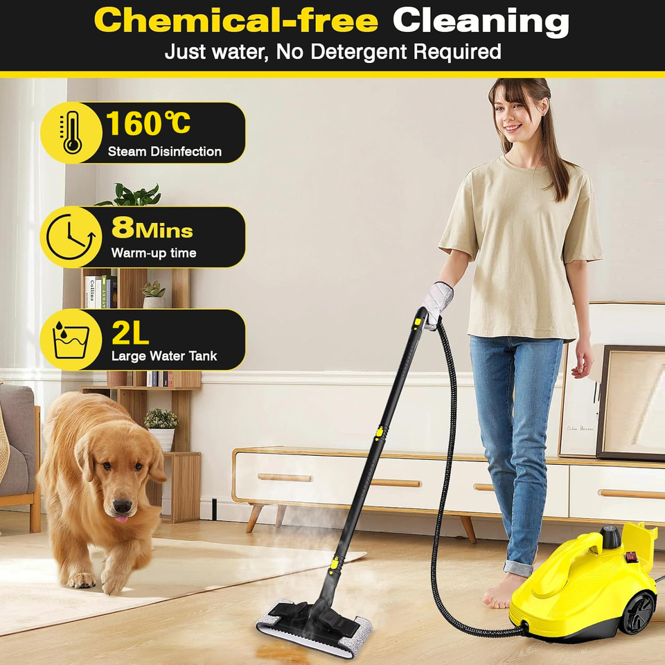 2000w 2L Water Tank Steam Cleaner High Pressure High Temperature ...