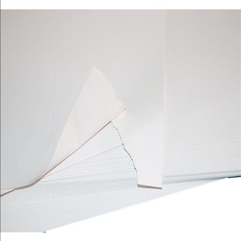 C1s Paper / White Fbb Sbs Ivory Board for Packaging and Printing ...