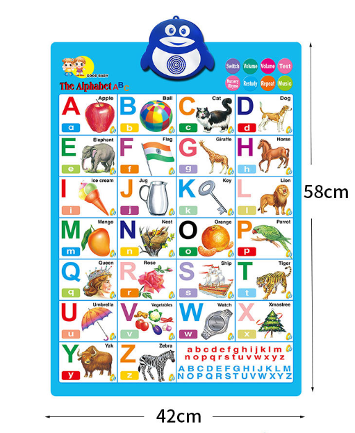 Customized Interactive Educational Talking Wall Chart Toy Set