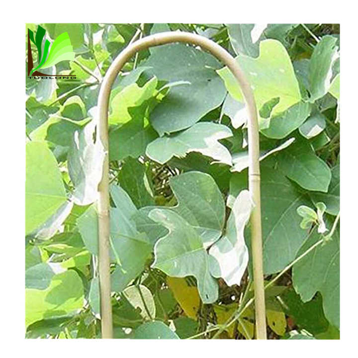 Bamboo U Hoops - Supportive Garden Plant Climbing Poles