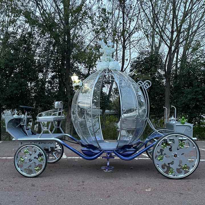 Perfect Cinderella Princess Carriage/Royal Luxury Wedding Carriage ...