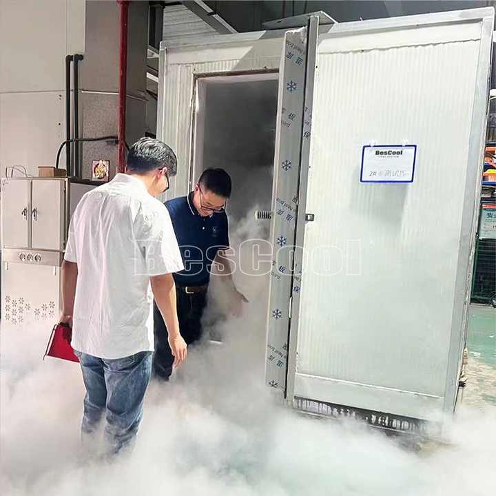 Customized Blast Freezer for Efficient Seafood Preservation