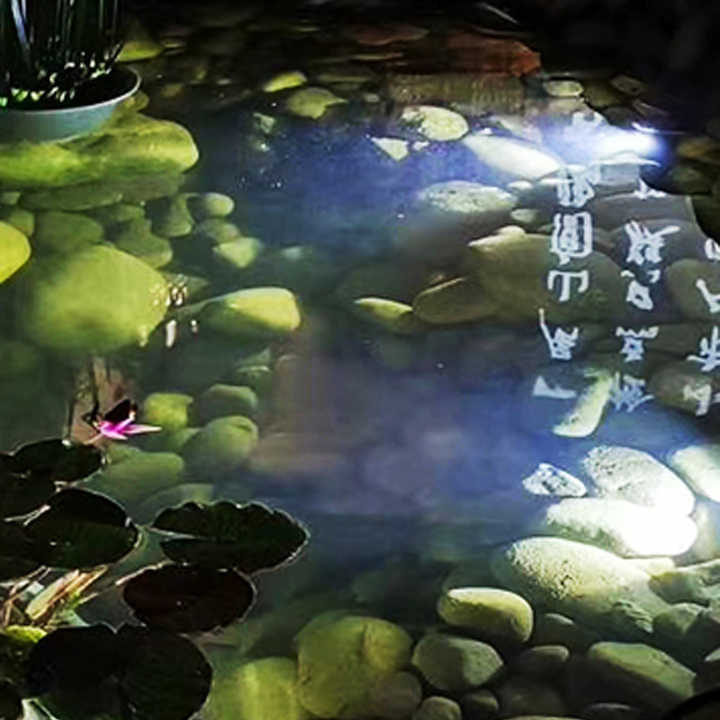 ZOMI 24Volt Input IP68 Waterproof Underwater Application Pool Courtyard ...