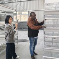 Unmanned Cheap Chicken Coops Chicken Drinking Trough System Broiler ...