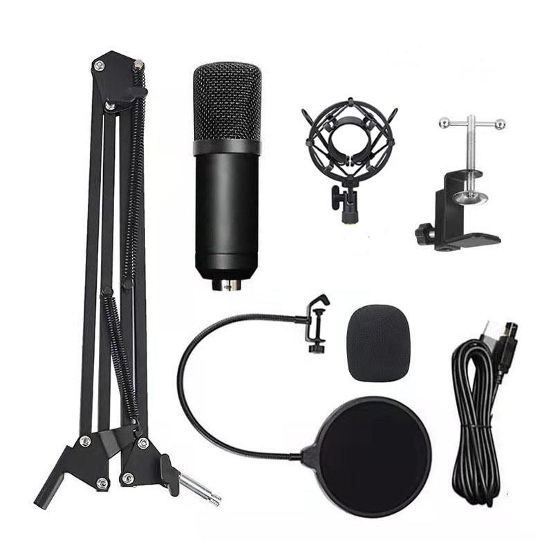 Best Price Professional USB Microphone Desktop Singing Condenser ...
