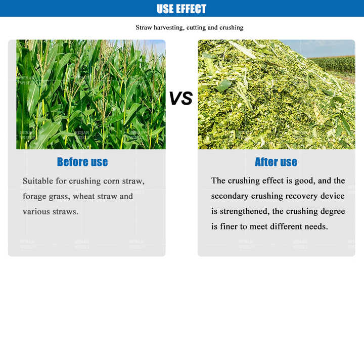 Corn Stalk Napier Grass Harvester Corn Silage Cutter Harvester Silage ...