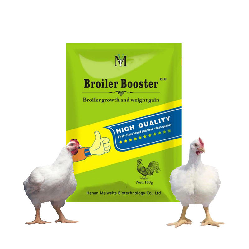 Boost Broiler Chicken Growth with Nutritional Additives